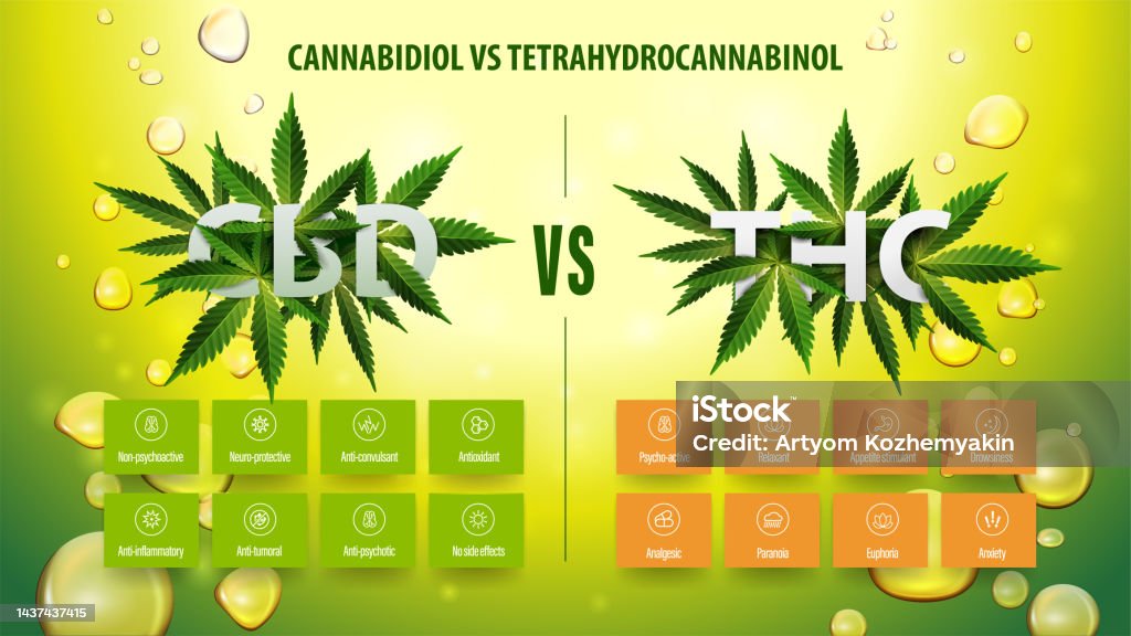 Cbd Vs Thc Green Information Poster With Infographic And List Of