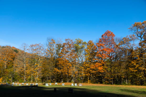 Free Stock Photo of Road in Cemetery | Download Free Images and Free ...