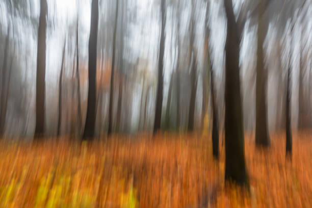 Intentional Pictures | Download Free Images on Unsplash