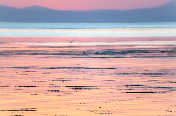 Peach Sky Pictures | Download Free Images on Unsplash