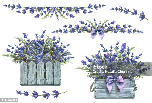 Serti De Fleurs De Lavande Compositions Bouquet Illustration À
