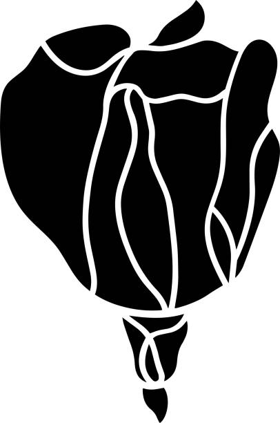 50 Silhouette Of Rose Bush Tattoos Ilustrasi Grafik Vektor And Clip