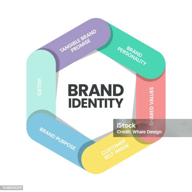 Le Vecteur Infographique Didentité De Marque Est Un Concept De
