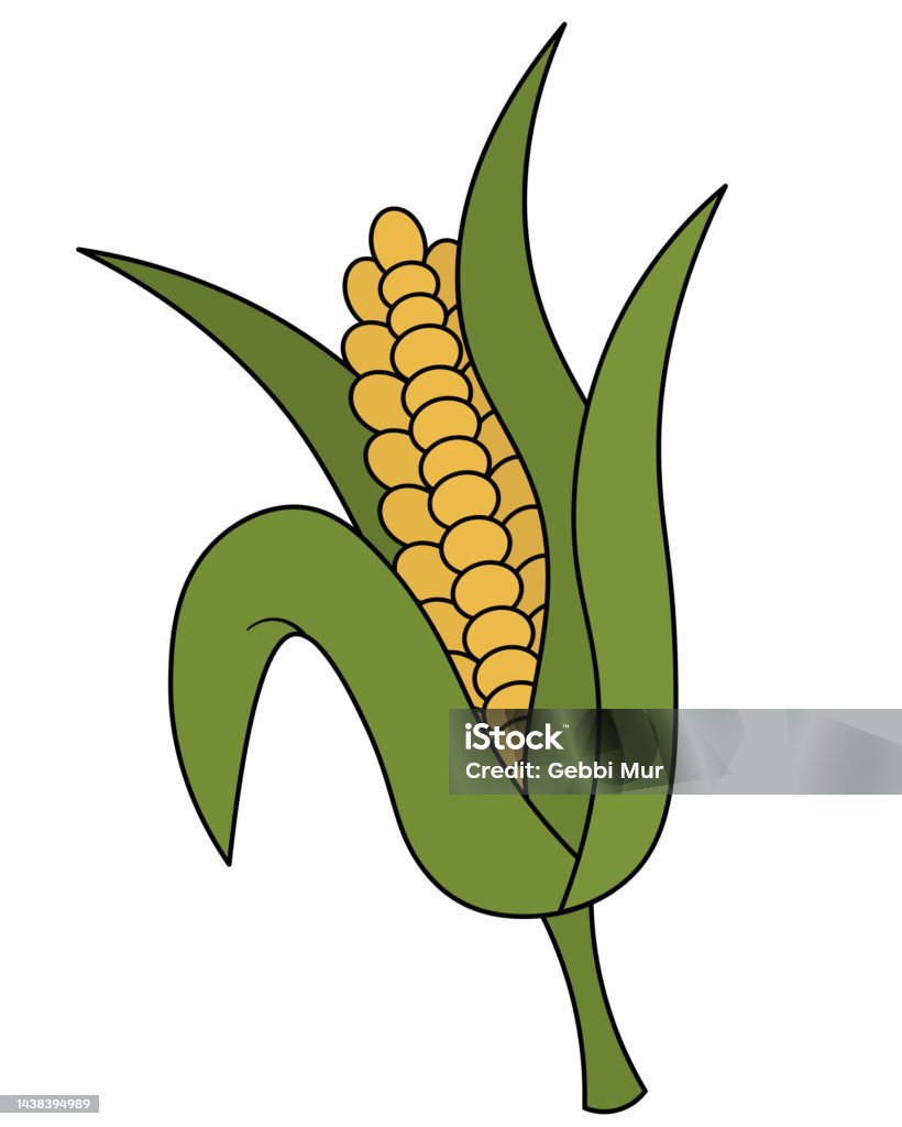 Jagung Dalam Gaya Kartun Tongkol Jagung Kuning Dibungkus Daun Hijau ... Jagung Dalam Gaya Kartun Tongkol Jagung Kuning Dibungkus Daun Hijau ...