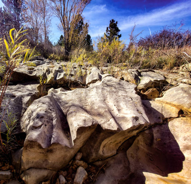 Bedrock Pictures | Download Free Images on Unsplash