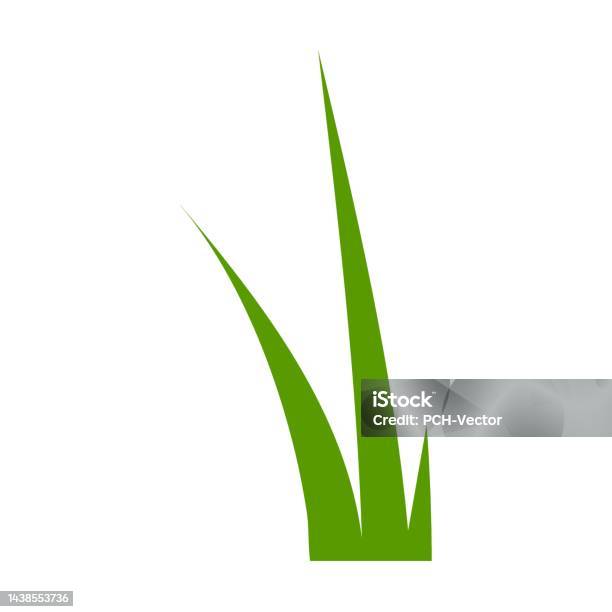 Green Small Leaf Grass Vector Illustration Of Plants Floral Borders