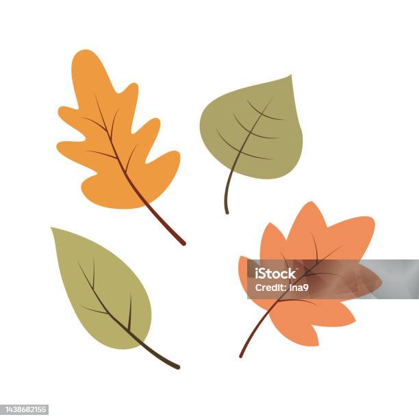 Feuilles Dautomne Isolées Sur Fond Blanc Illustration Vectorielle Style
