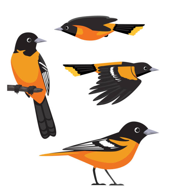 Clip Art Bird