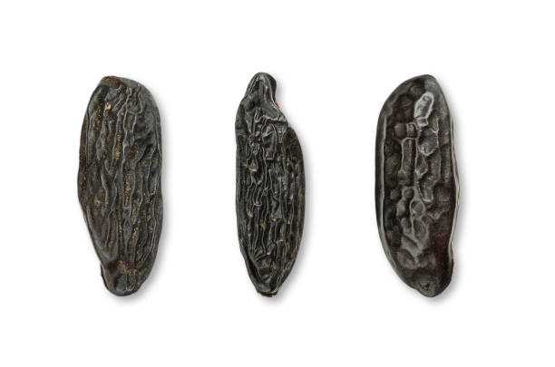 Tonka Bean Pictures | Download Free Images on Unsplash