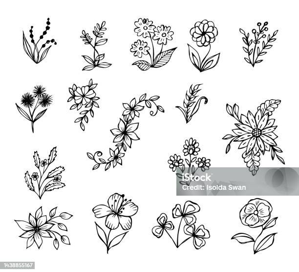 Set Elemen Doodle Bunga Botani Yang Digambar Tangan Untuk Konsep Desain