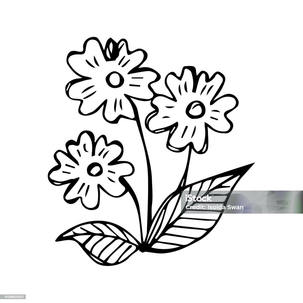 Hand Drawn Botanical Flower Doodle Element For Floral Design Concept