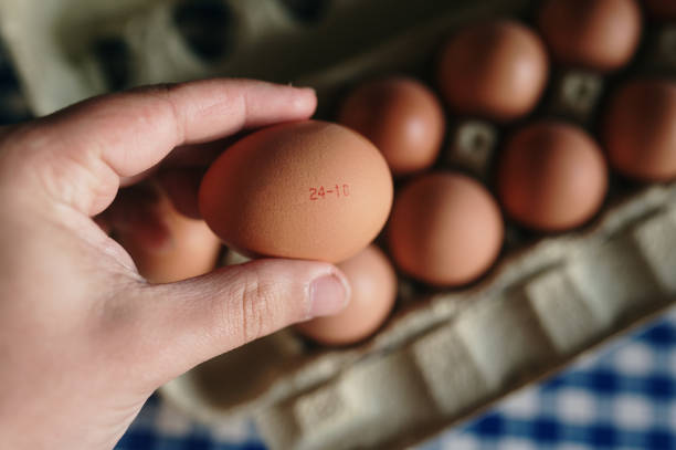 Free expiration date stock photos. Download the best free expiration ...
