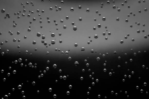 Bule Pictures | Download Free Images on Unsplash
