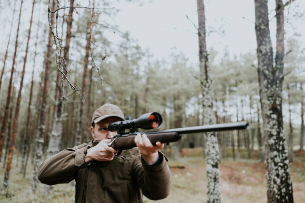 Hunting Rifle Pictures | Download Free Images on Unsplash