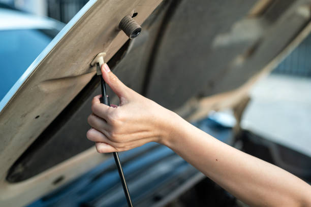Free Stock Photo of Mechanic checking damage part under car hood ...