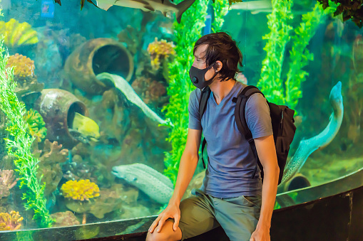 Pria Bertopeng Medis Melihat Ikan Di Akuarium Di Oseanarium Orangorang ... Pria Bertopeng Medis Melihat Ikan Di Akuarium Di Oseanarium Orangorang ...