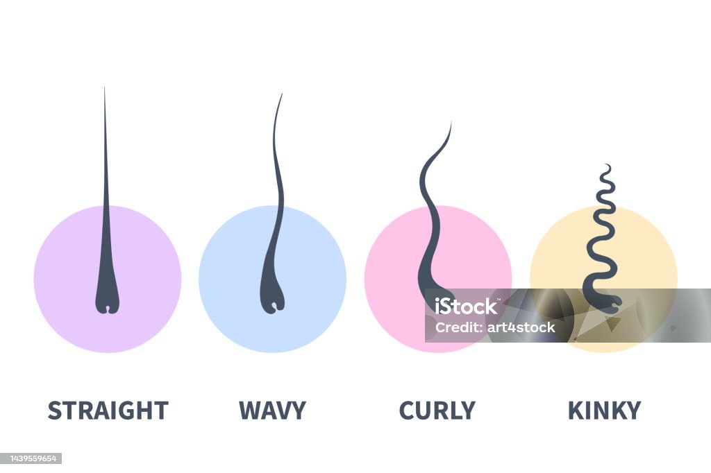 Hair Types Chart Set Of Strands Growth Patterns Stock Illustration Download Image Now