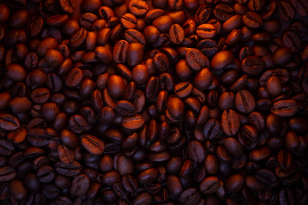 Caf Pictures | Download Free Images on Unsplash