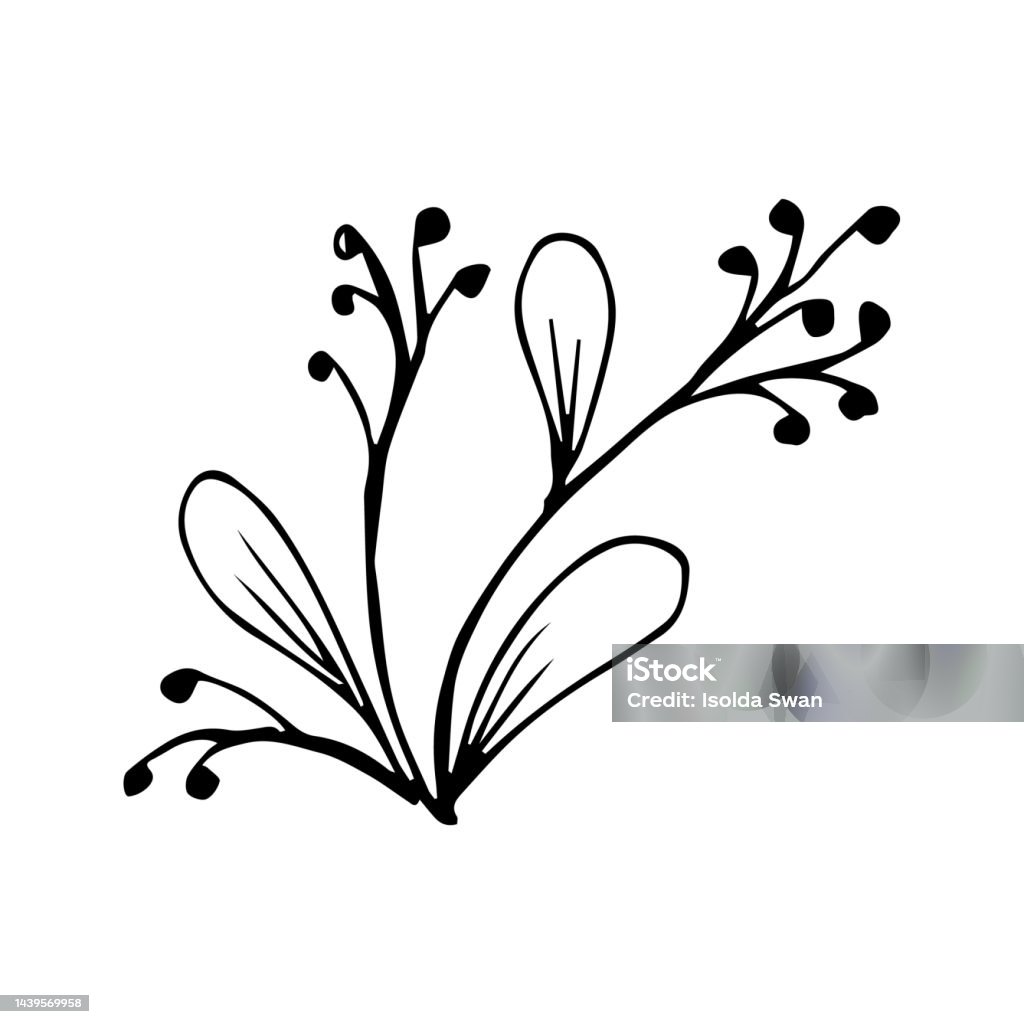 Hand Drawn Botanical Flower Doodle Element For Floral Design Concept