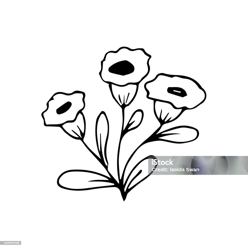 Hand Drawn Botanical Flower Doodle Element For Floral Design Concept
