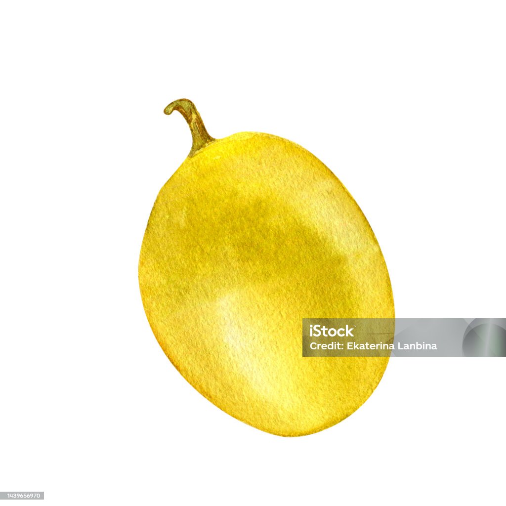Passion Fruit Watercolor Illustration Isolated On White Background