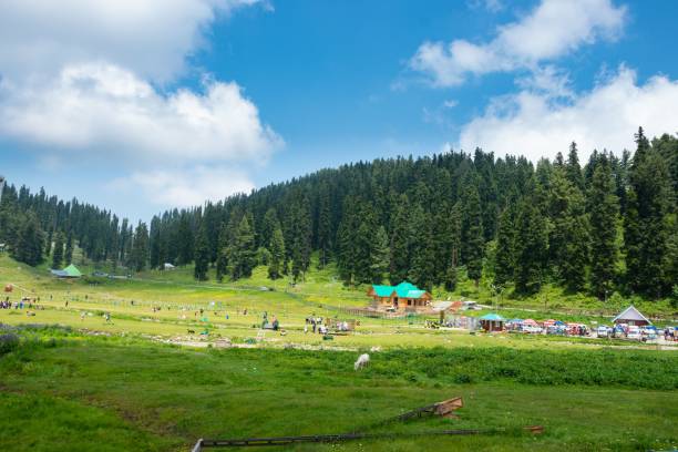 Pahalgam Pictures | Download Free Images on Unsplash