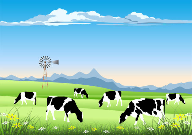 Cattles Clipart Free
