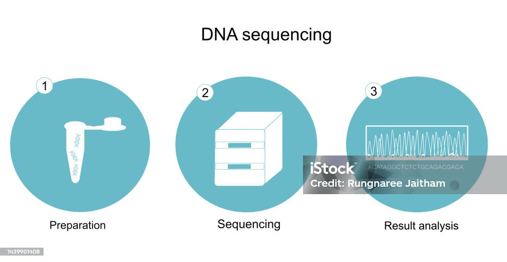 Alur Kerja Pengurutan Dna Untuk Deteksi Pengurutan Dna Yang Diwakili ... Alur Kerja Pengurutan Dna Untuk Deteksi Pengurutan Dna Yang Diwakili ...
