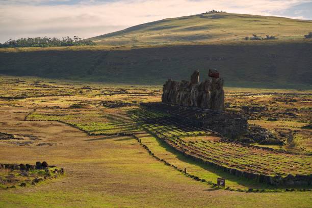 Moai Statues Pictures | Download Free Images on Unsplash