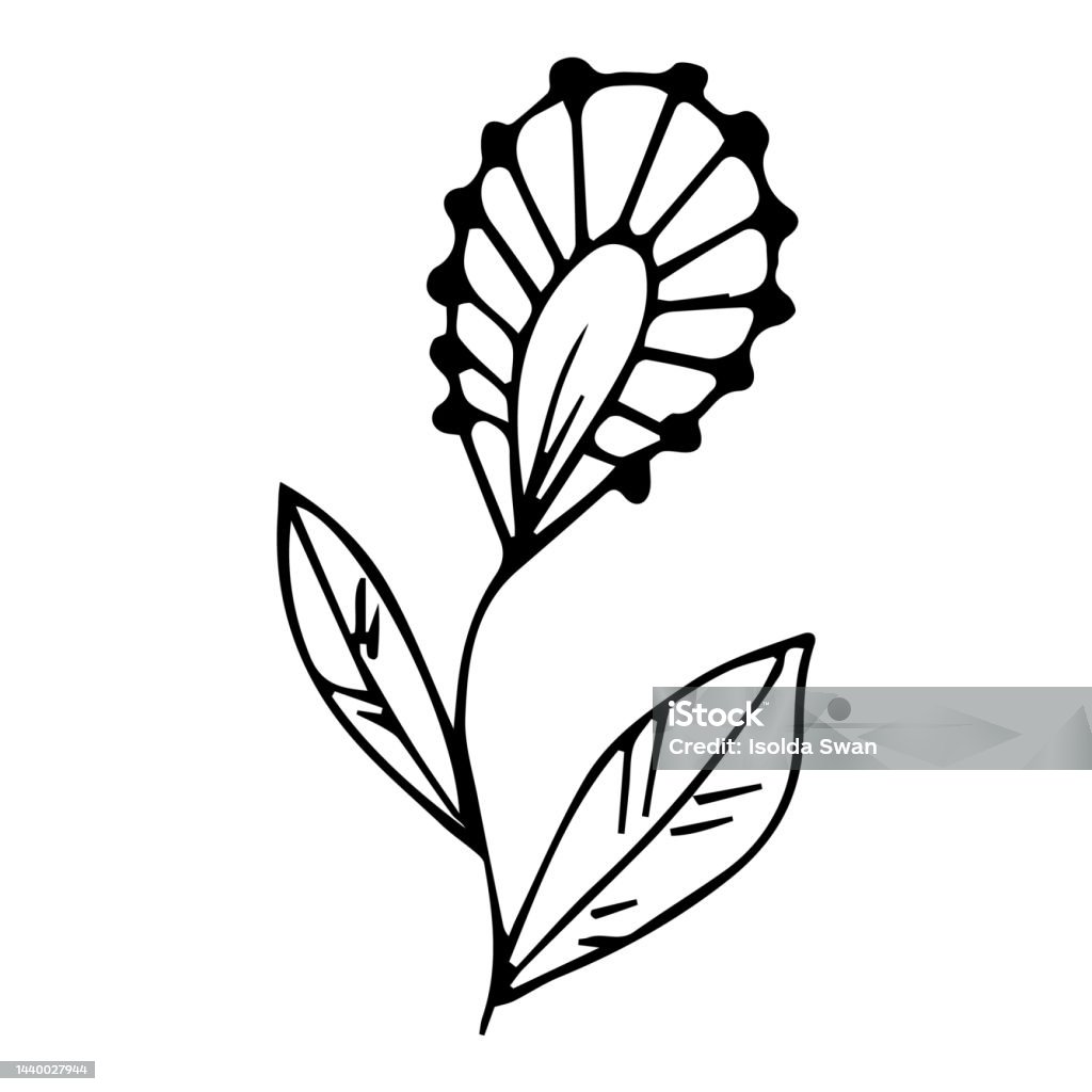 Hand Drawn Botanical Flower Doodle Element For Floral Design Concept