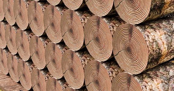Log Kayu Bakar Ditumpuk Dalam Gudang Kayu Foto Stok - Unduh Gambar ... Log Kayu Bakar Ditumpuk Dalam Gudang Kayu Foto Stok - Unduh Gambar ...