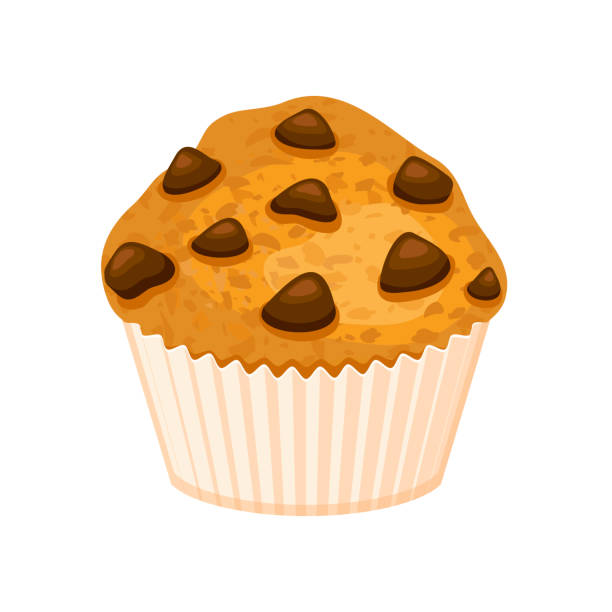 10 Chocolate Muffin Isolated On White Background Stock Illustrations