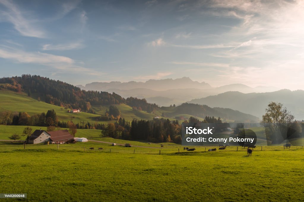 Appenzellerland With View Towards Alpstein And Saentis Summit Canton
