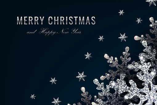 Banner With Silver Snowflakes Glitter Vector Eps10 Stock Illustration