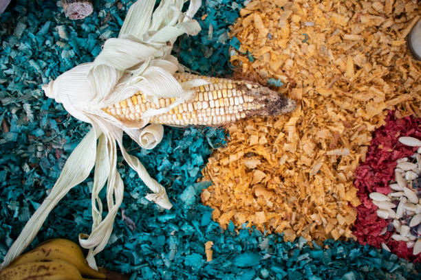 Ofrenda Pictures | Download Free Images on Unsplash