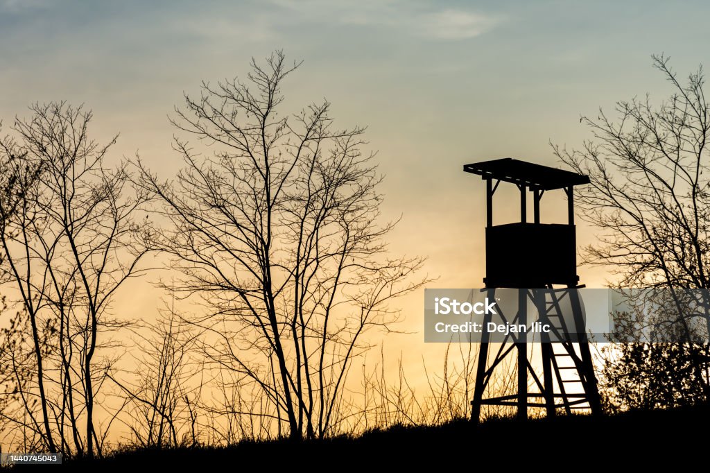 Observation Hunting Tower Stock Photo - Download Image Now - Hunting ... Observation Hunting Tower Stock Photo - Download Image Now - Hunting ...