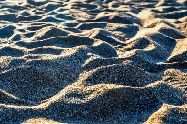 Free picture: beach, sand, texture, desert, soil, earth, surface, material