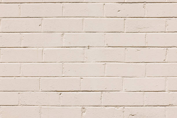 1500+ Solid Background Pictures | Download Free Images on Unsplash