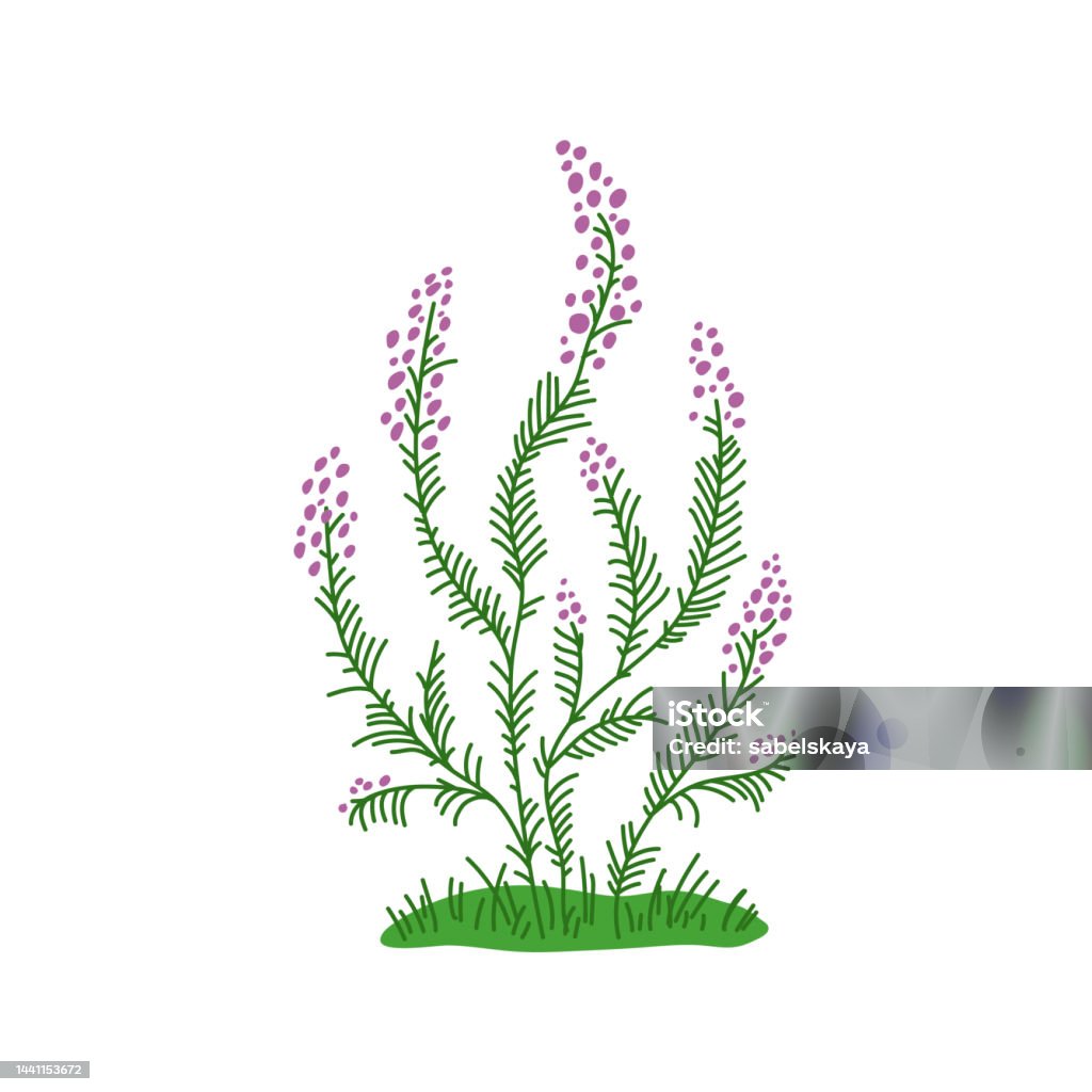 Prehistoric Plant Of Jurassic And Mesozoic Era Flat Vector Illustration