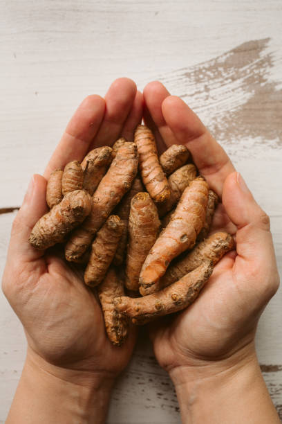 Curcuma Pictures | Download Free Images on Unsplash