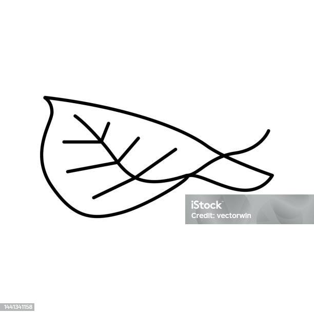 Feuille Bouleau Ligne Dautomne Icône Illustration Vectorielle Vecteurs