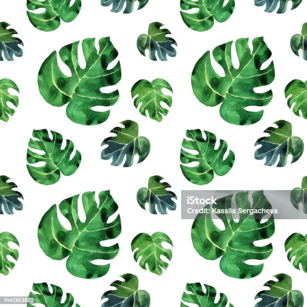 Feuille De Monstre En Motif Homogène Sur Fond Blanc Aquarelle Usine De