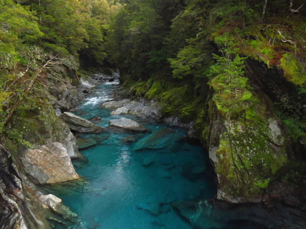 Blue River Pictures | Download Free Images on Unsplash