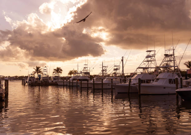 Florida Keys Pictures | Download Free Images on Unsplash