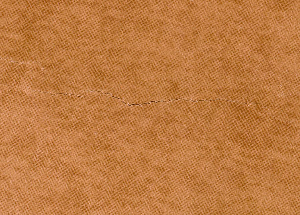 Rupture Pictures | Download Free Images on Unsplash