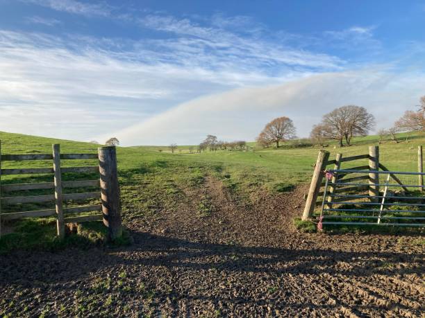 Free picture: green grass, sky, landscape, nature, fence, field, tree ...