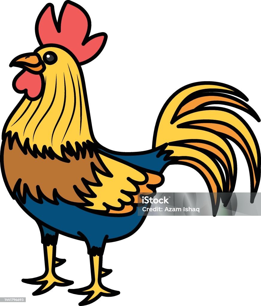 Red Junglefowl Chicken Concept Ceylon Junglefowl Vector Color Icon