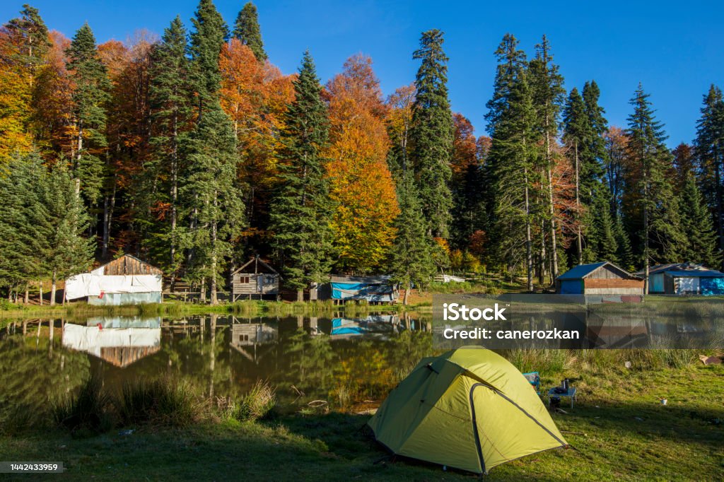 Purenli Plateau Stock Photo - Download Image Now - Adventure, Autumn ... Purenli Plateau Stock Photo - Download Image Now - Adventure, Autumn ...