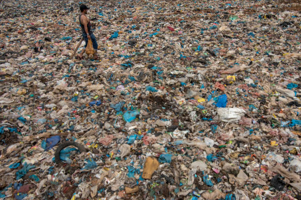 Free picture: dry season, ecology, garbage, ground, pollution, trash ...