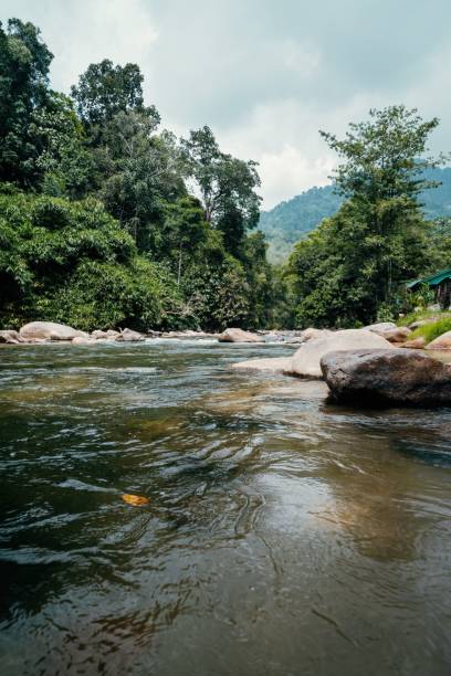 Sungai Pictures | Download Free Images on Unsplash